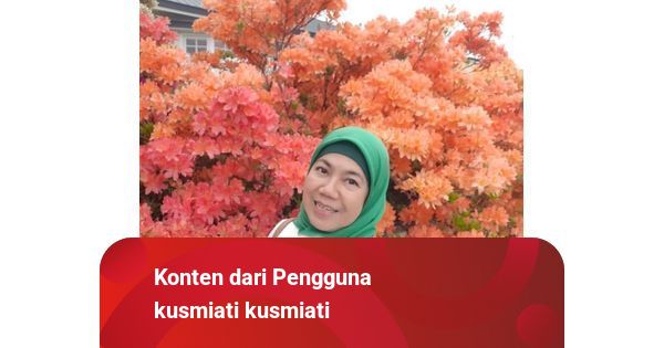 Dari Hutan Mangrove Ke Laboratorium: Mengungkap Bakteri Penghasil Enzim | kumparan.com